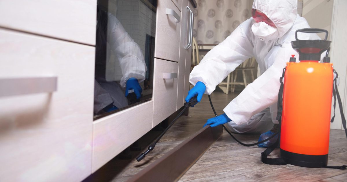 Find Auckland Pest Control By Service & Suburb